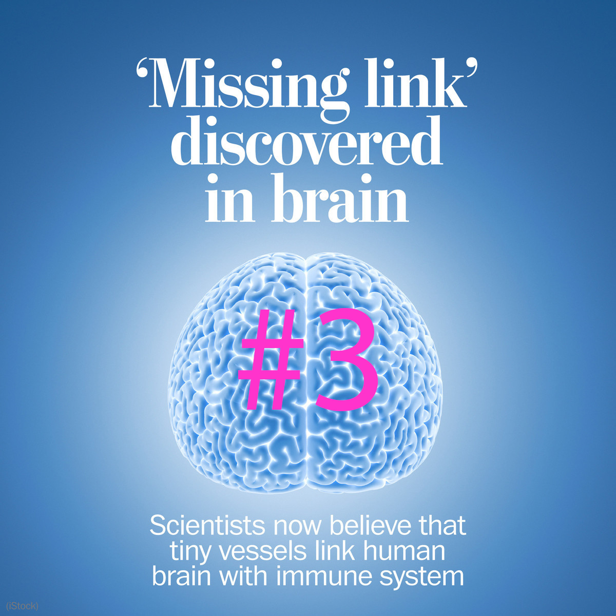 #3 Breakthrough Brain Study - Highbrow Lowbrow